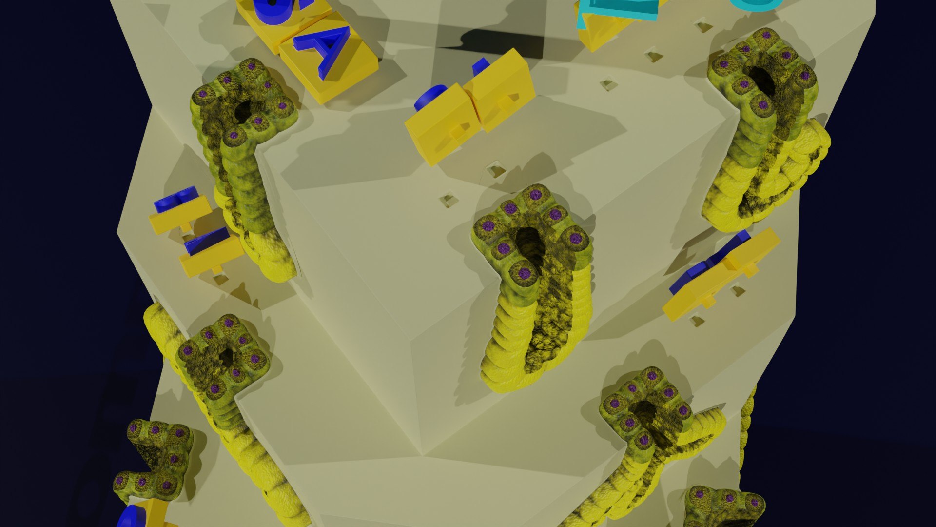 Ducts glands type simple compound alveolar tubular 3D model ...