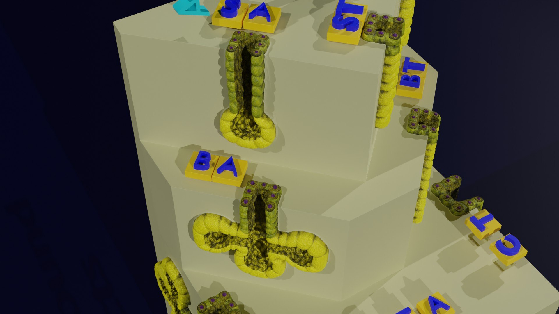 Ducts glands type simple compound alveolar tubular 3D model ...