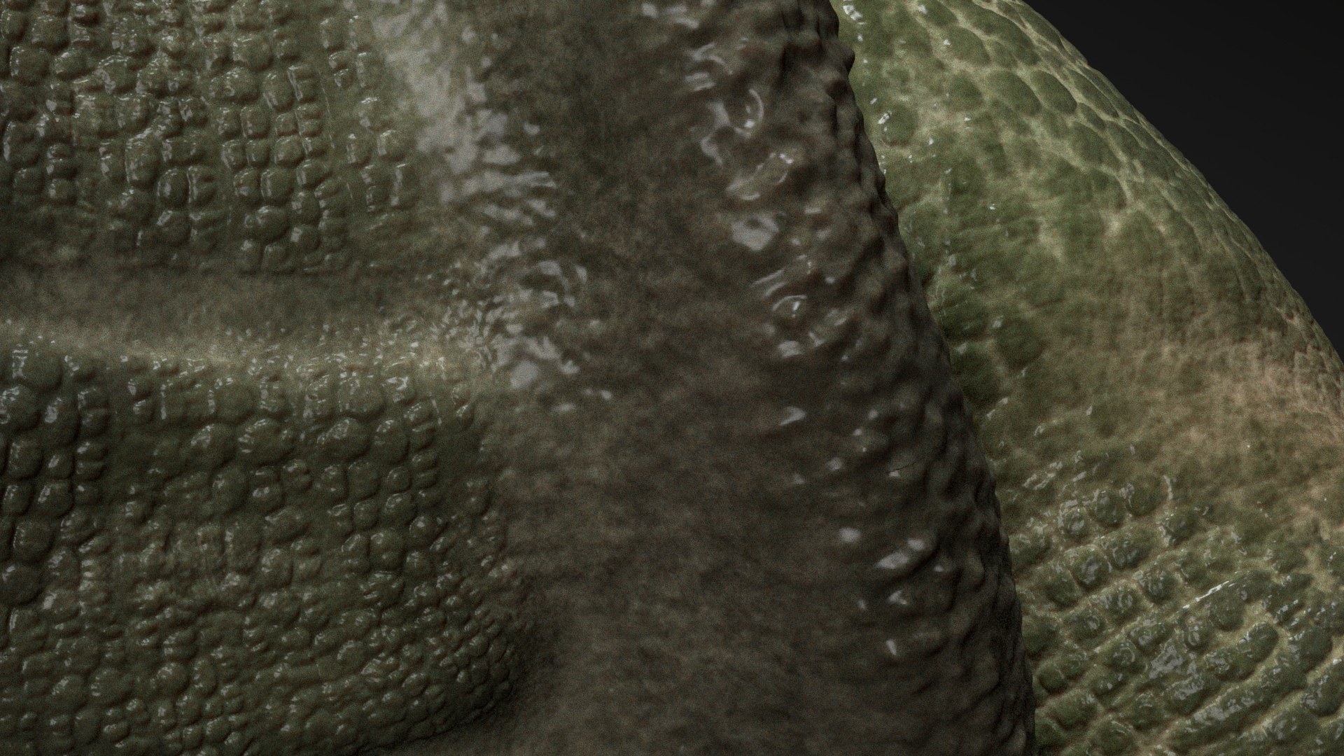 3D Kappa Swamp Monster Model - TurboSquid 2272585