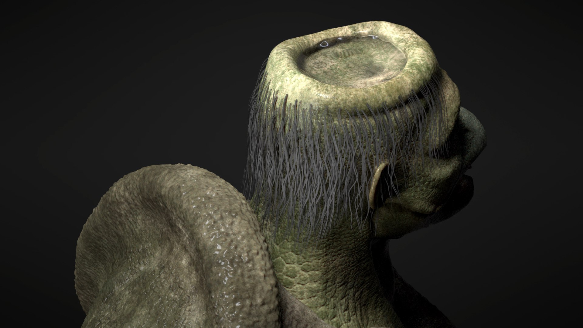 3D Kappa Swamp Monster Model - TurboSquid 2272585