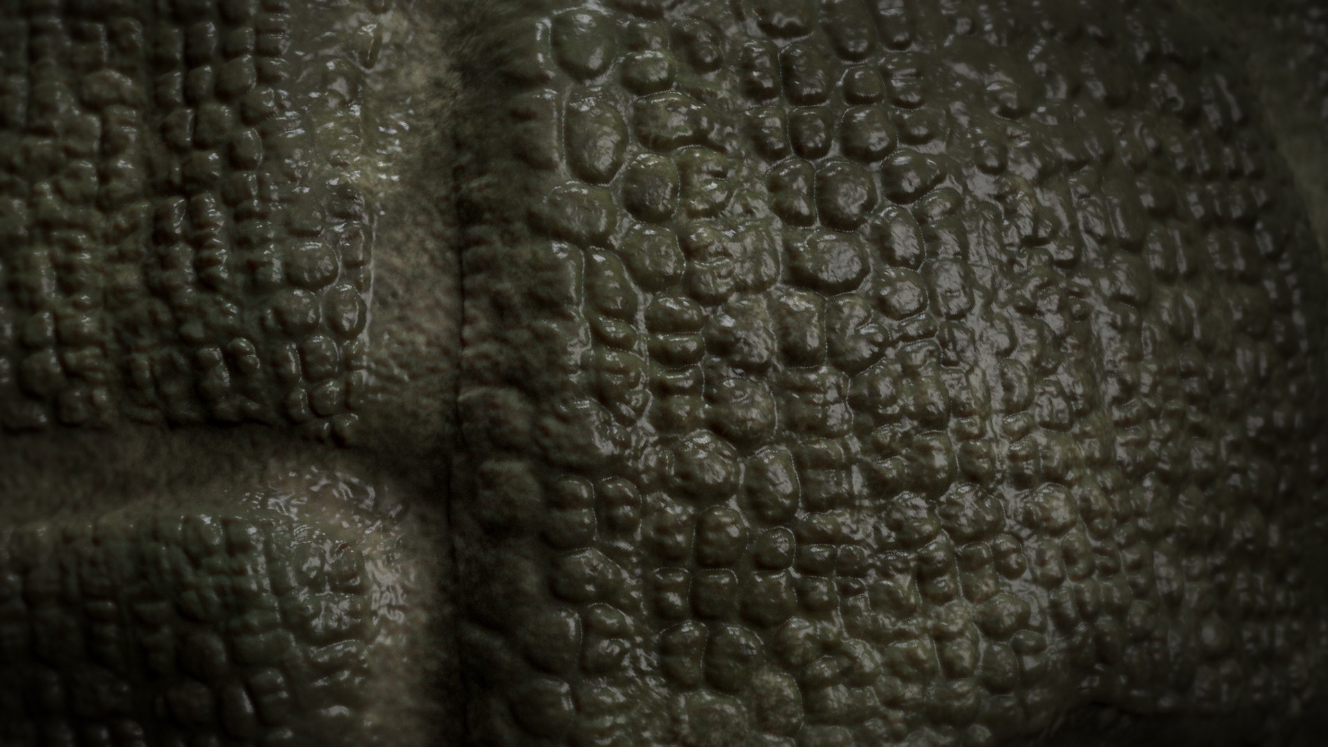 3D Kappa Swamp Monster Model - TurboSquid 2272585