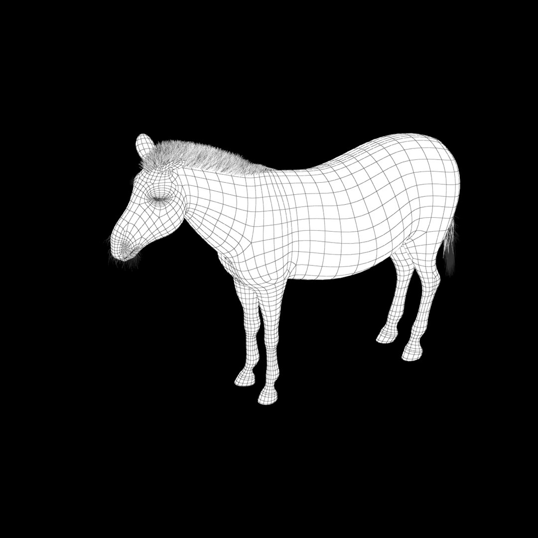 Photorealistic Zebra 3d Model