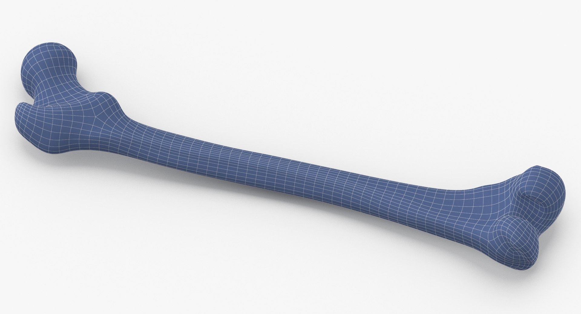 Human Femur Bone 01 3D Model - TurboSquid 1535240