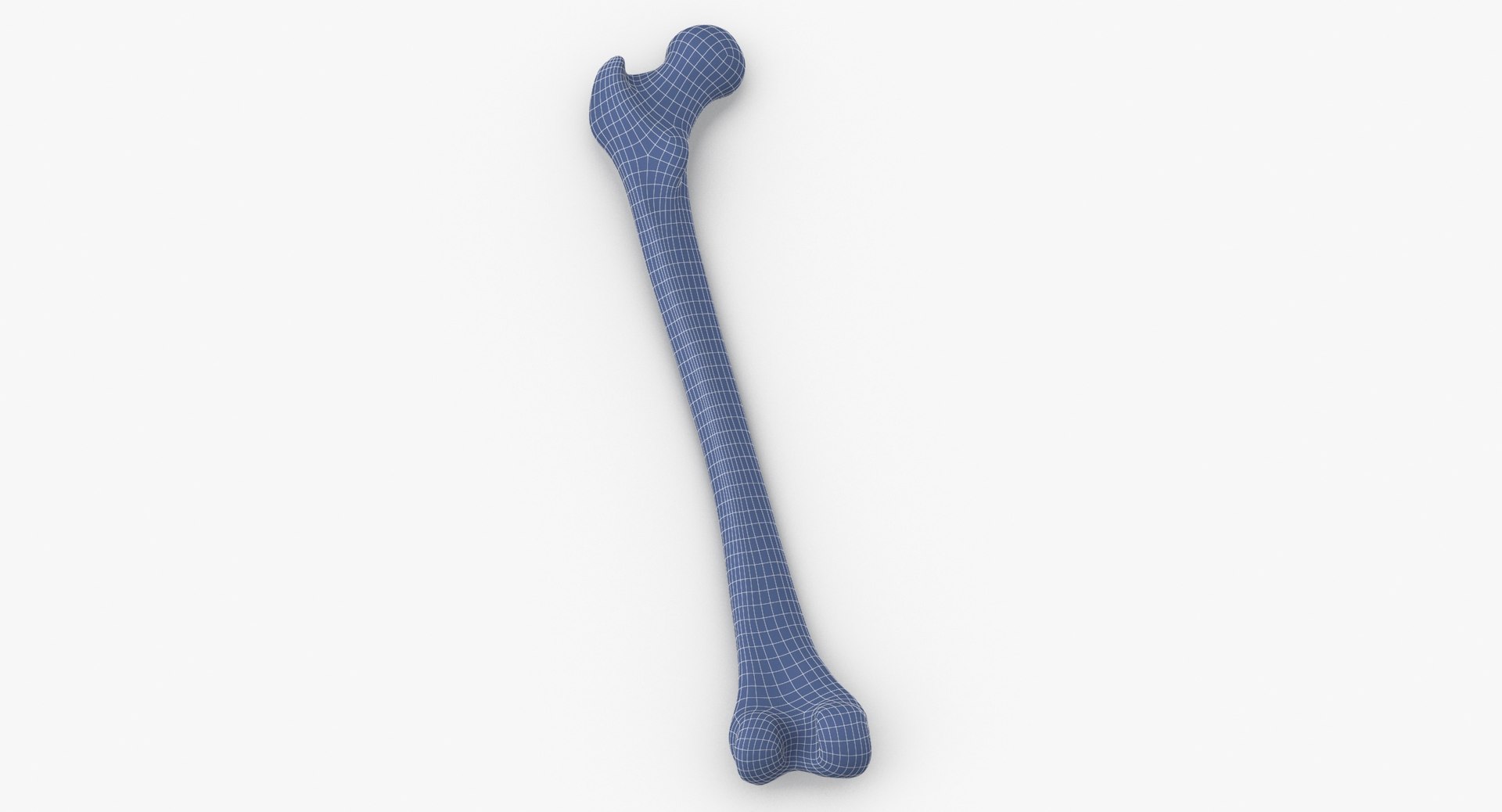 Human Femur Bone 01 3D Model - TurboSquid 1535240