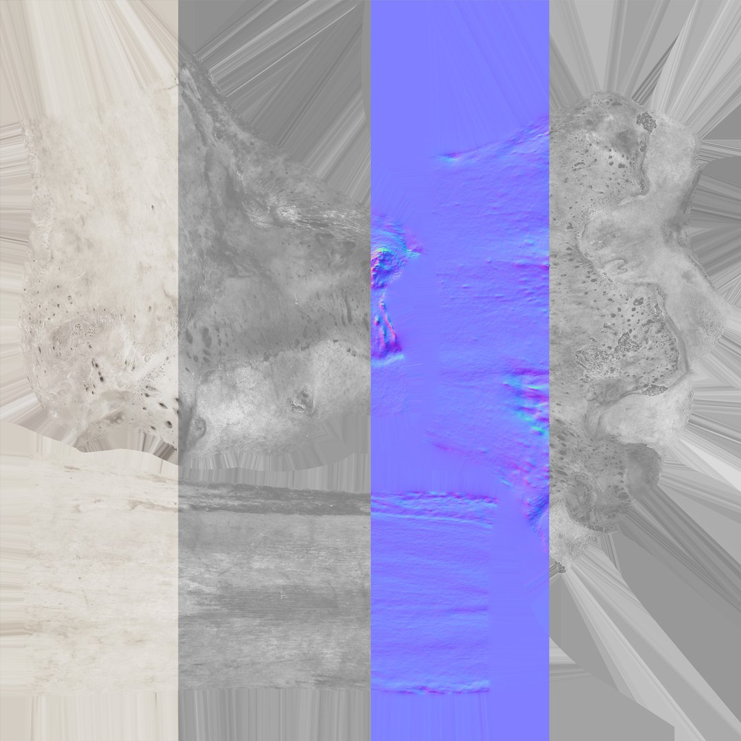 Human femur bone 01 3D model - TurboSquid 1535240