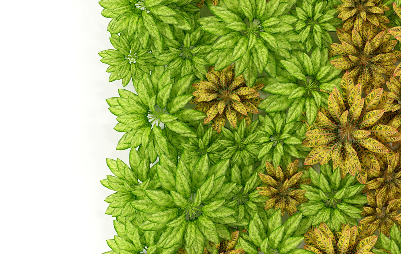 3D Modern Plant Wall Green Plant Wall Model - TurboSquid 2056784