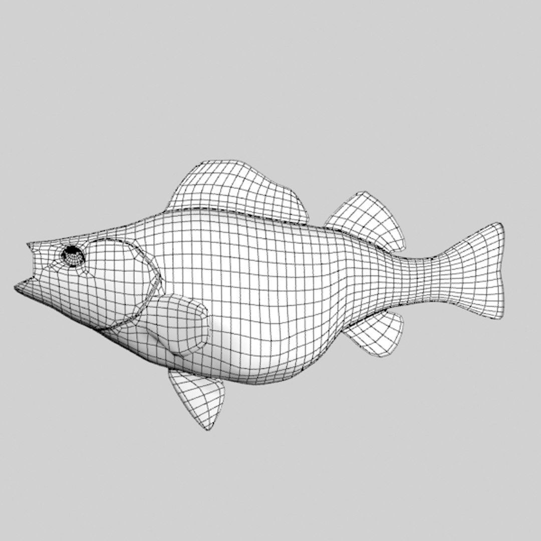 Fish Perch 3d Model