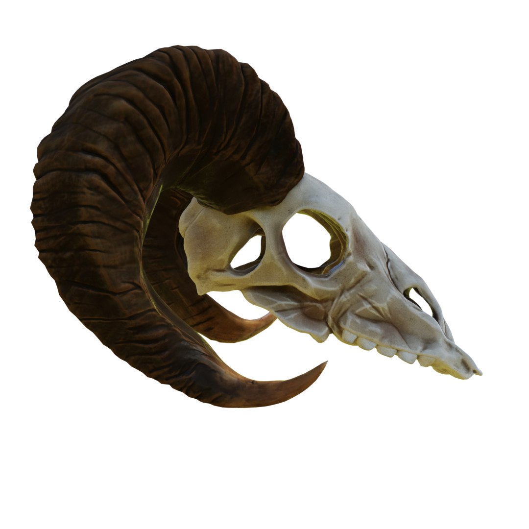 Ram Skull 3D - TurboSquid 1565658