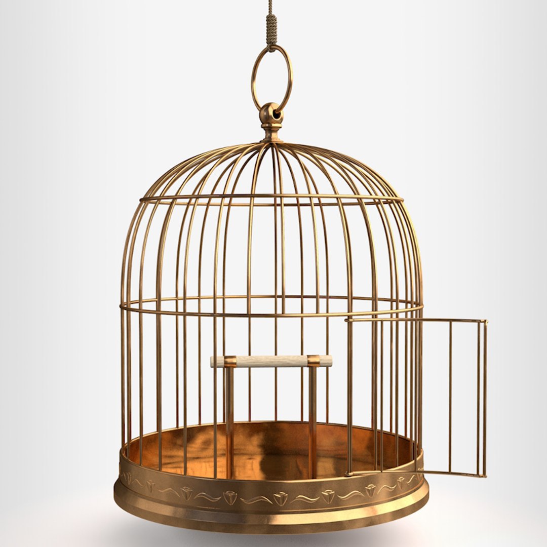 Antique Birdcage Cage 3d Model
