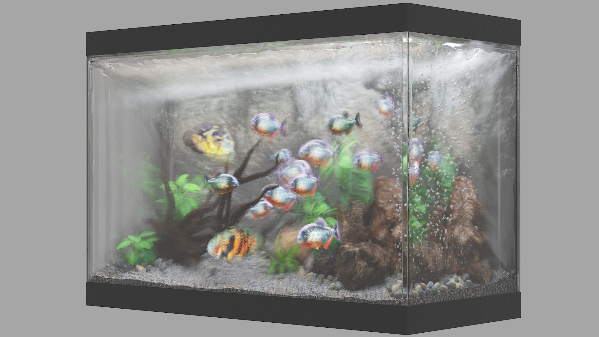 3D Fish Tanks - TurboSquid 2253204