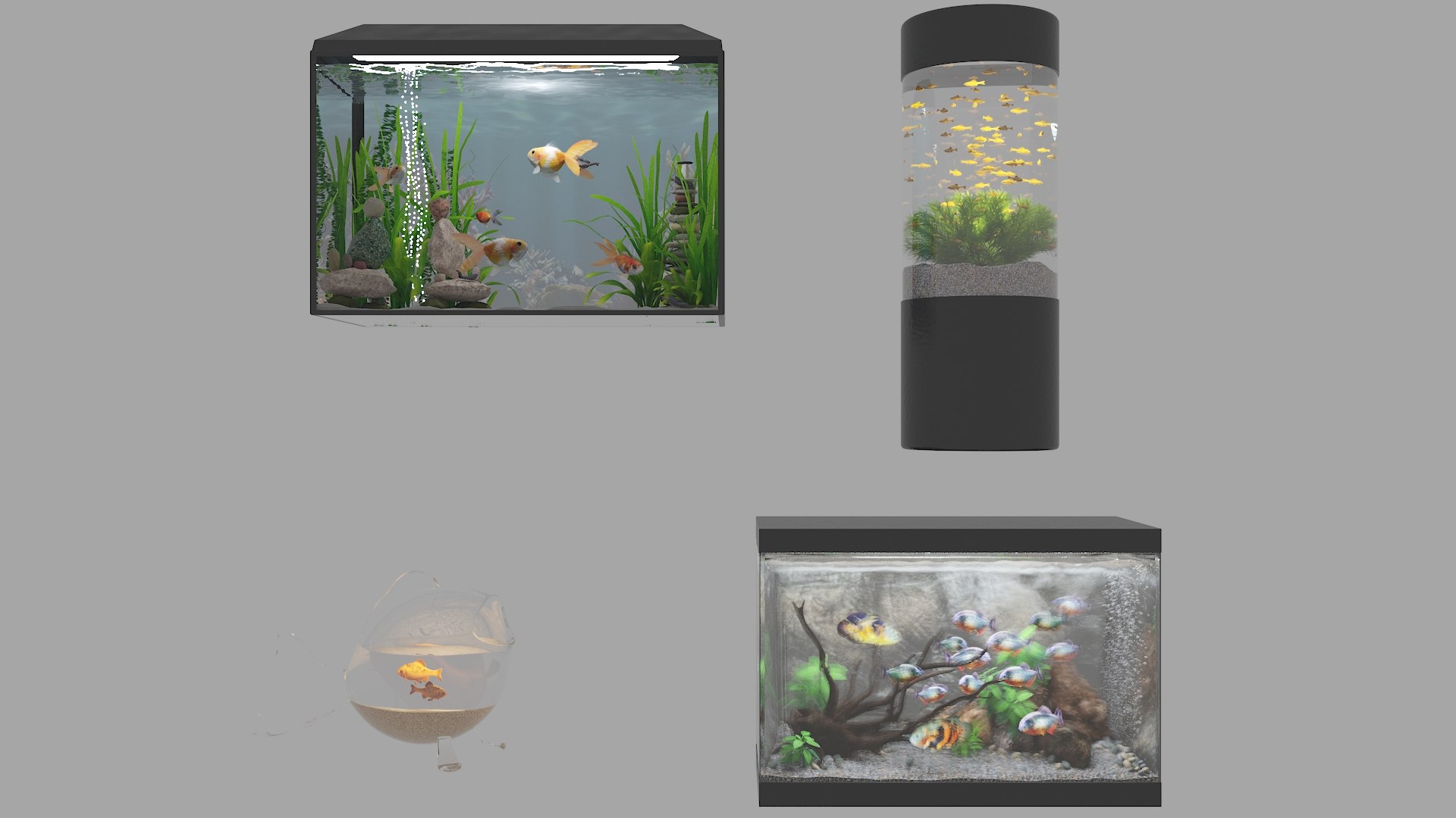 3D Fish Tanks - TurboSquid 2253204