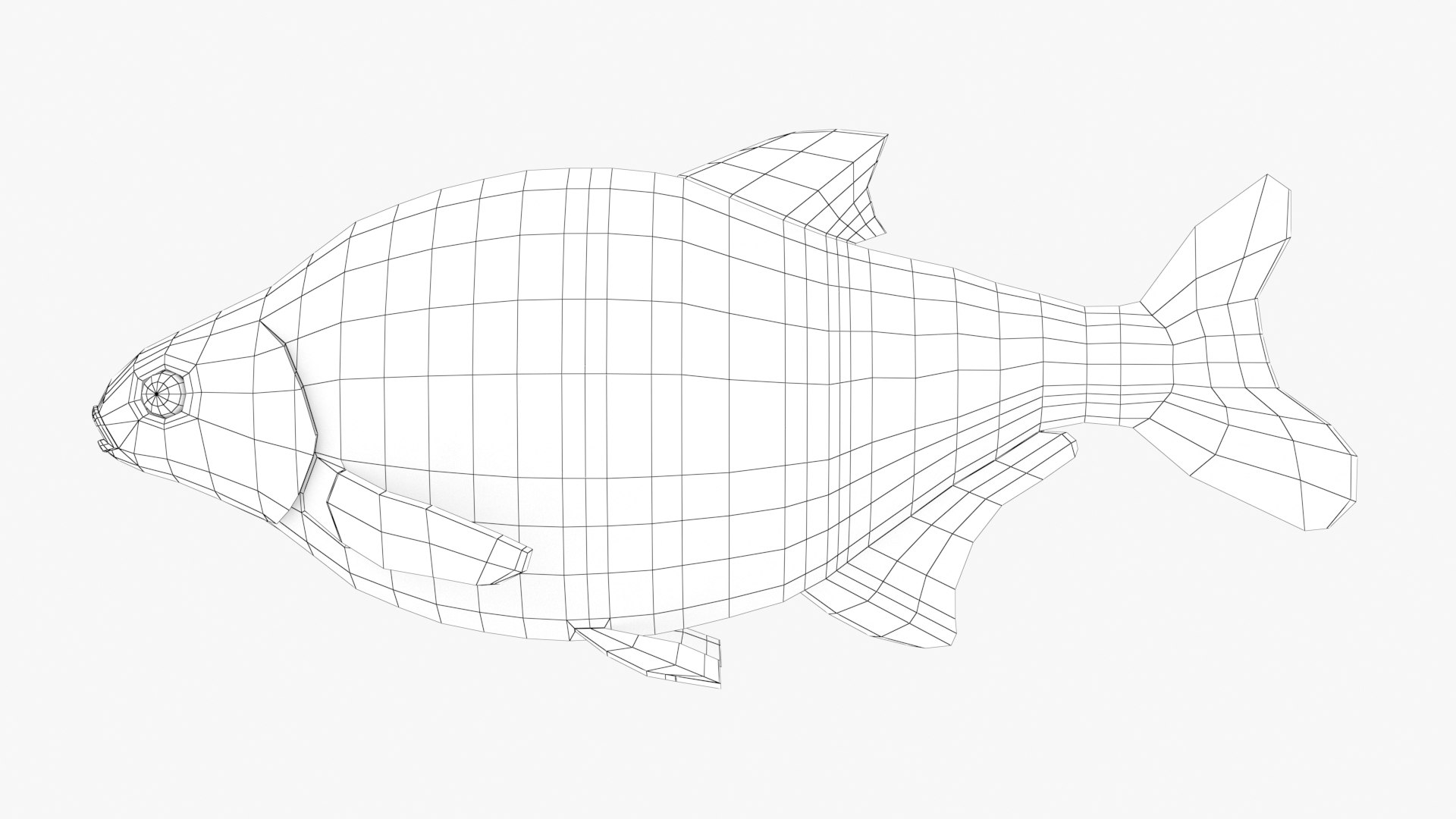 3D Bream Model - TurboSquid 1927322