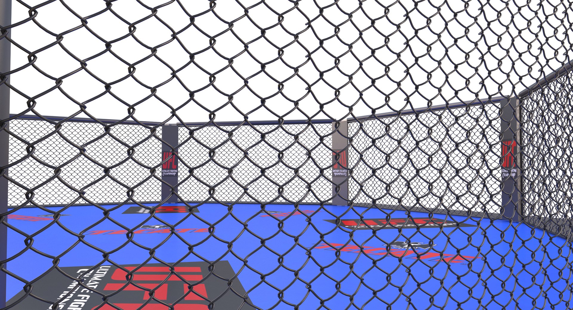 3D Fighting Arenas Ufc - TurboSquid 1436208