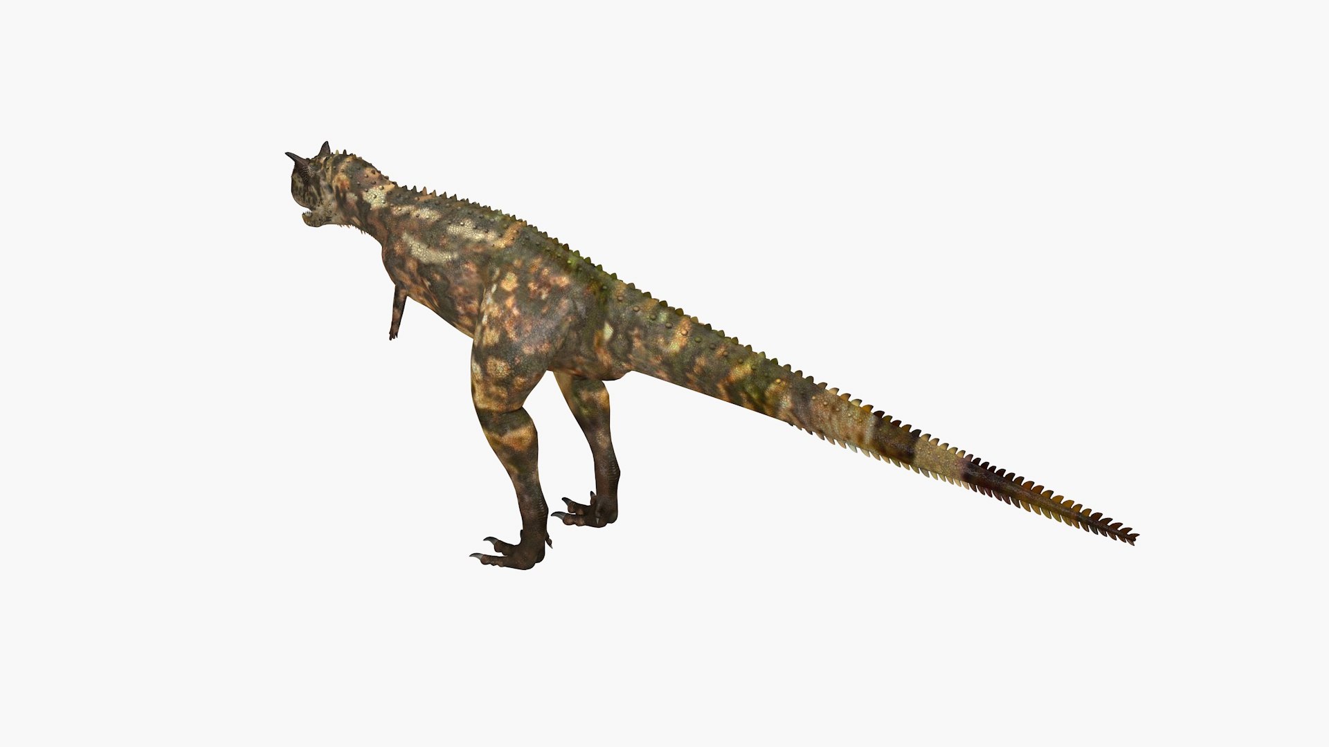 3D Carnotaurus - TurboSquid 1844279
