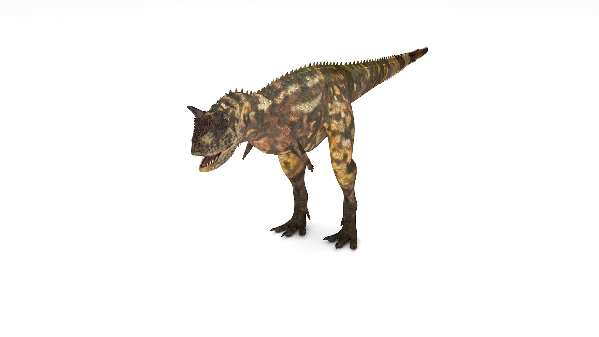 3D Carnotaurus - TurboSquid 1844279