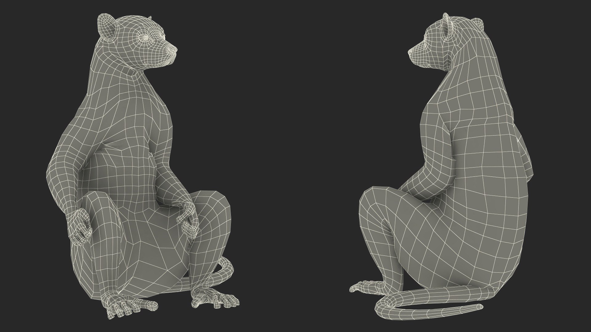 Lemur Catta Sitting Straight 3D Model - TurboSquid 2197050