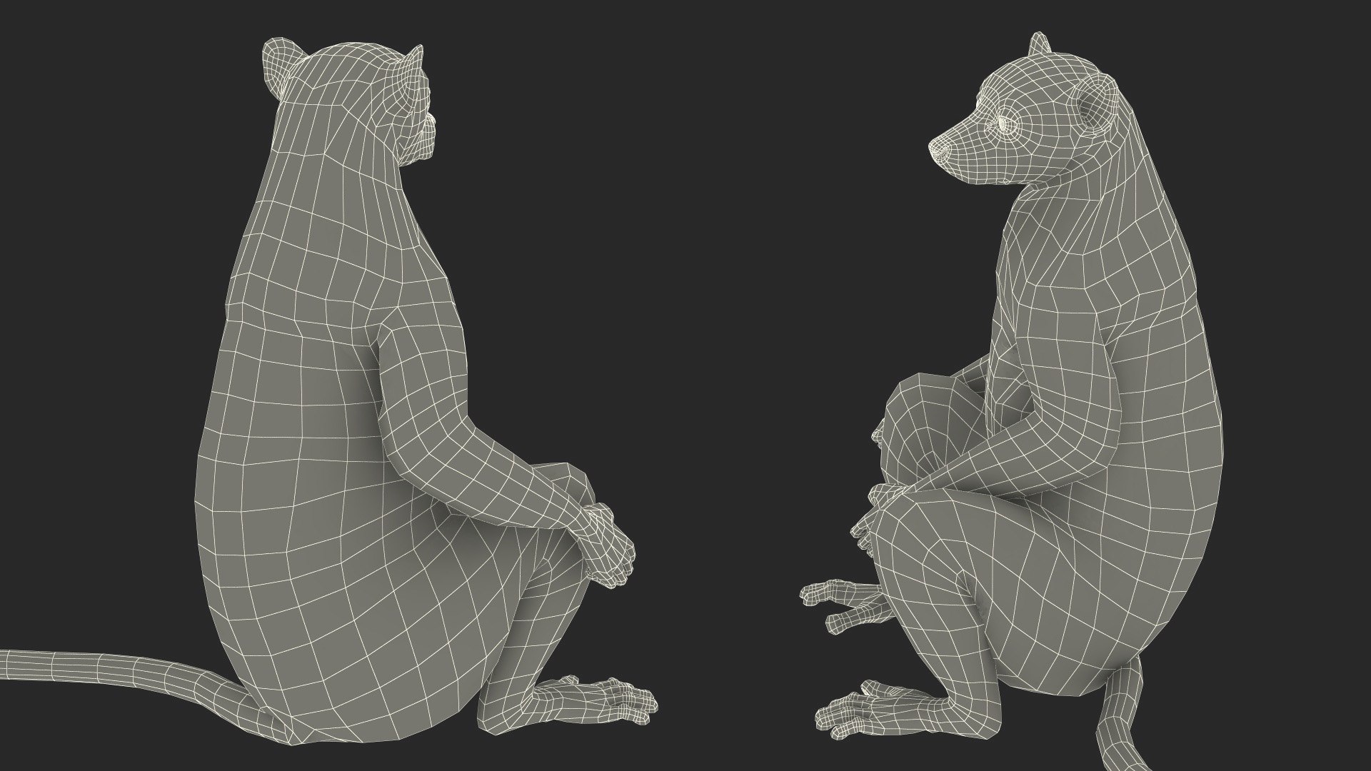 Lemur Catta Sitting Straight 3D Model - TurboSquid 2197050
