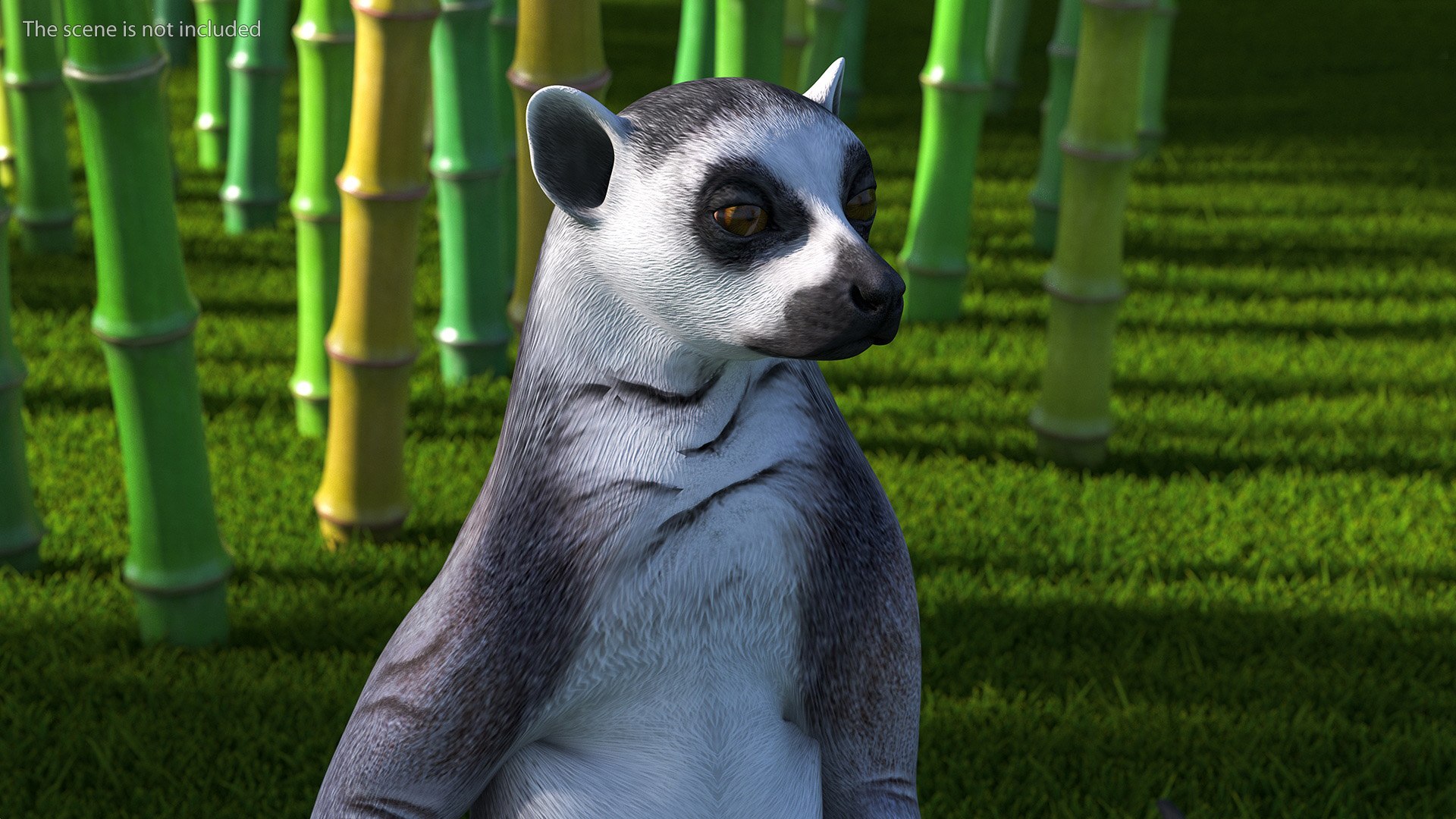 Lemur Catta Sitting Straight 3D Model - TurboSquid 2197050
