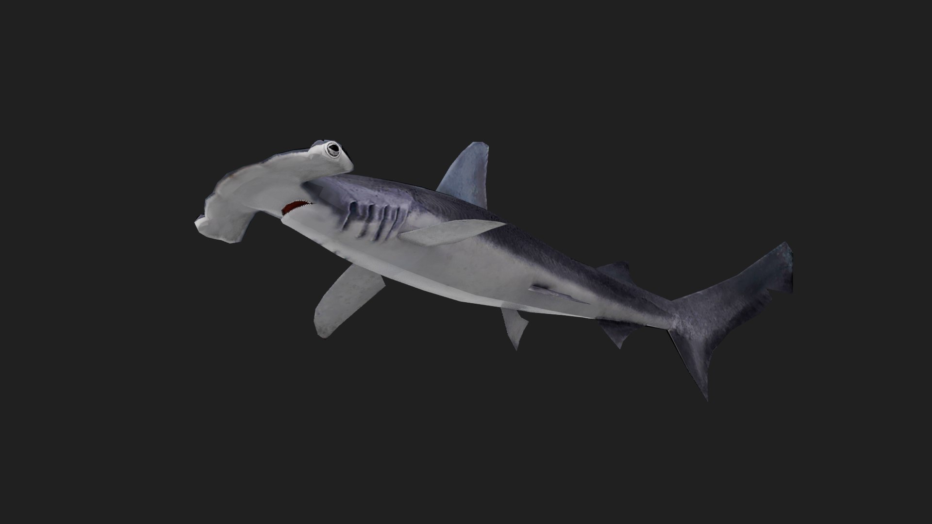 Shark 3D - TurboSquid 2122587