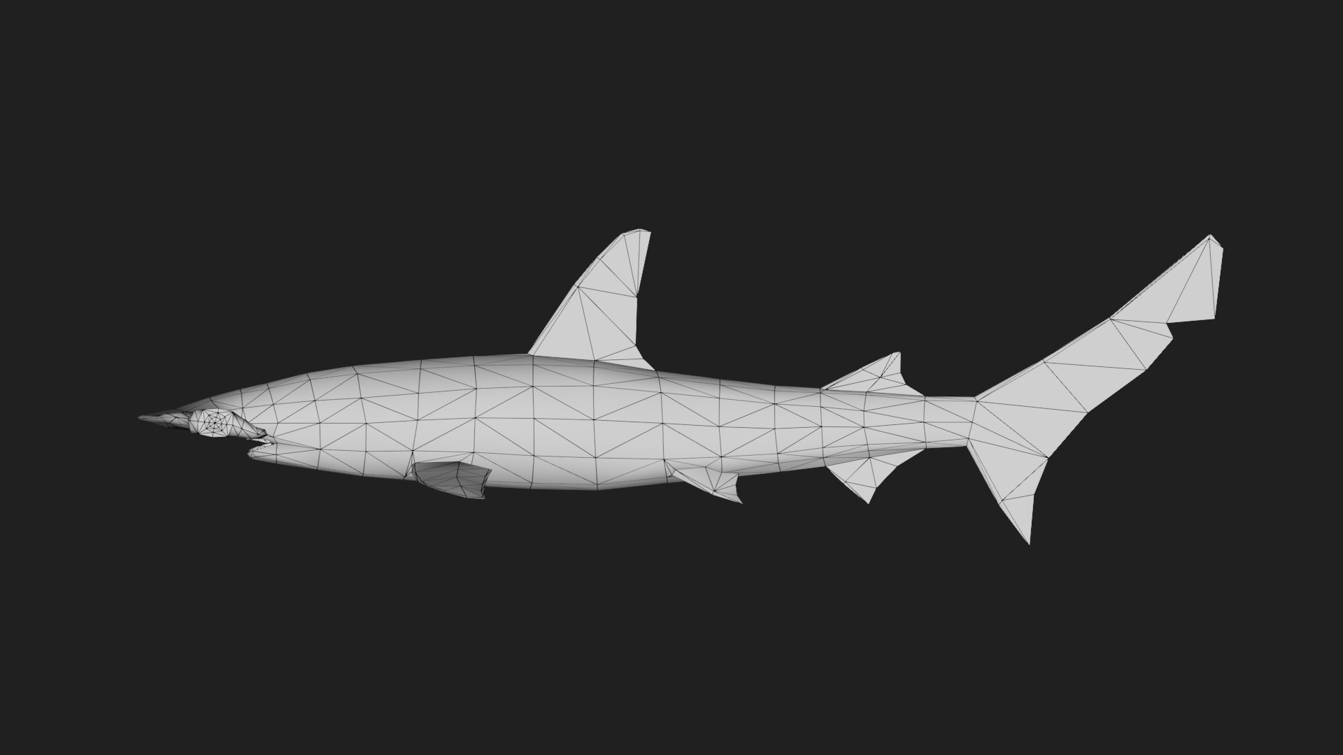 Shark 3D - TurboSquid 2122587