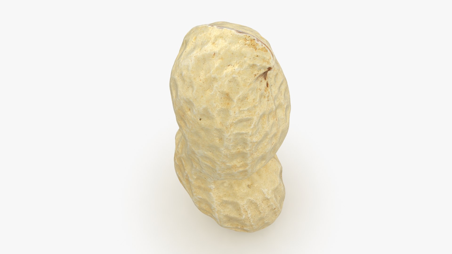 3D Peanut Shell 02 Model - TurboSquid 1957346