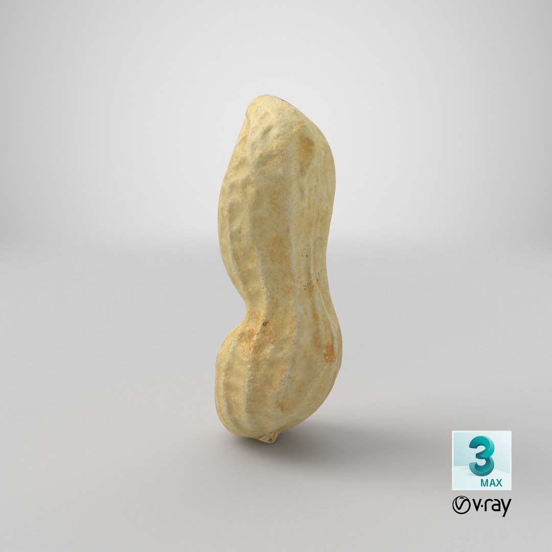 3D Peanut Shell 02 model - TurboSquid 1957346