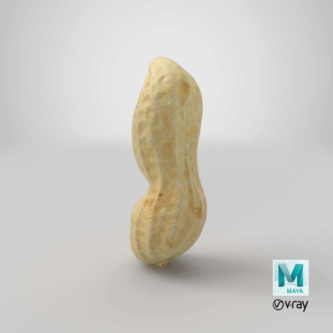 3D Peanut Shell 02 model - TurboSquid 1957346