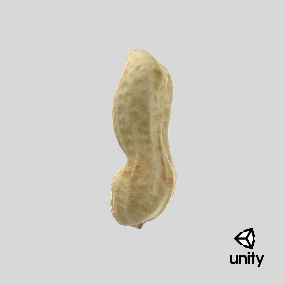 3D Peanut Shell 02 model - TurboSquid 1957346