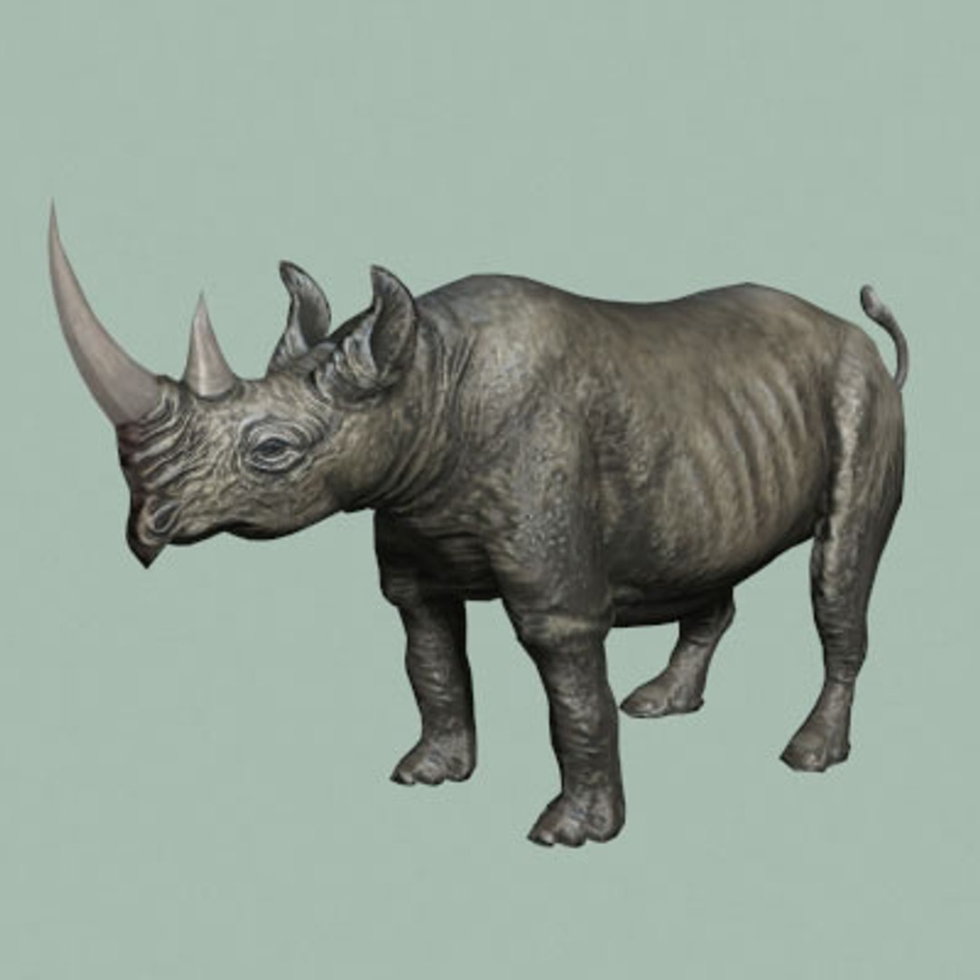 Animal 3d Model