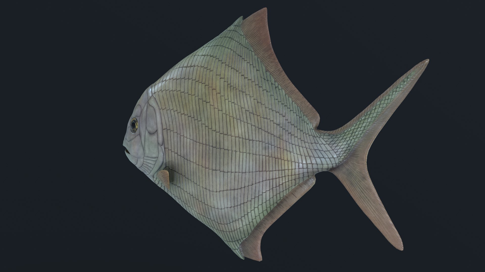Extinct Fish 3D - TurboSquid 1458804