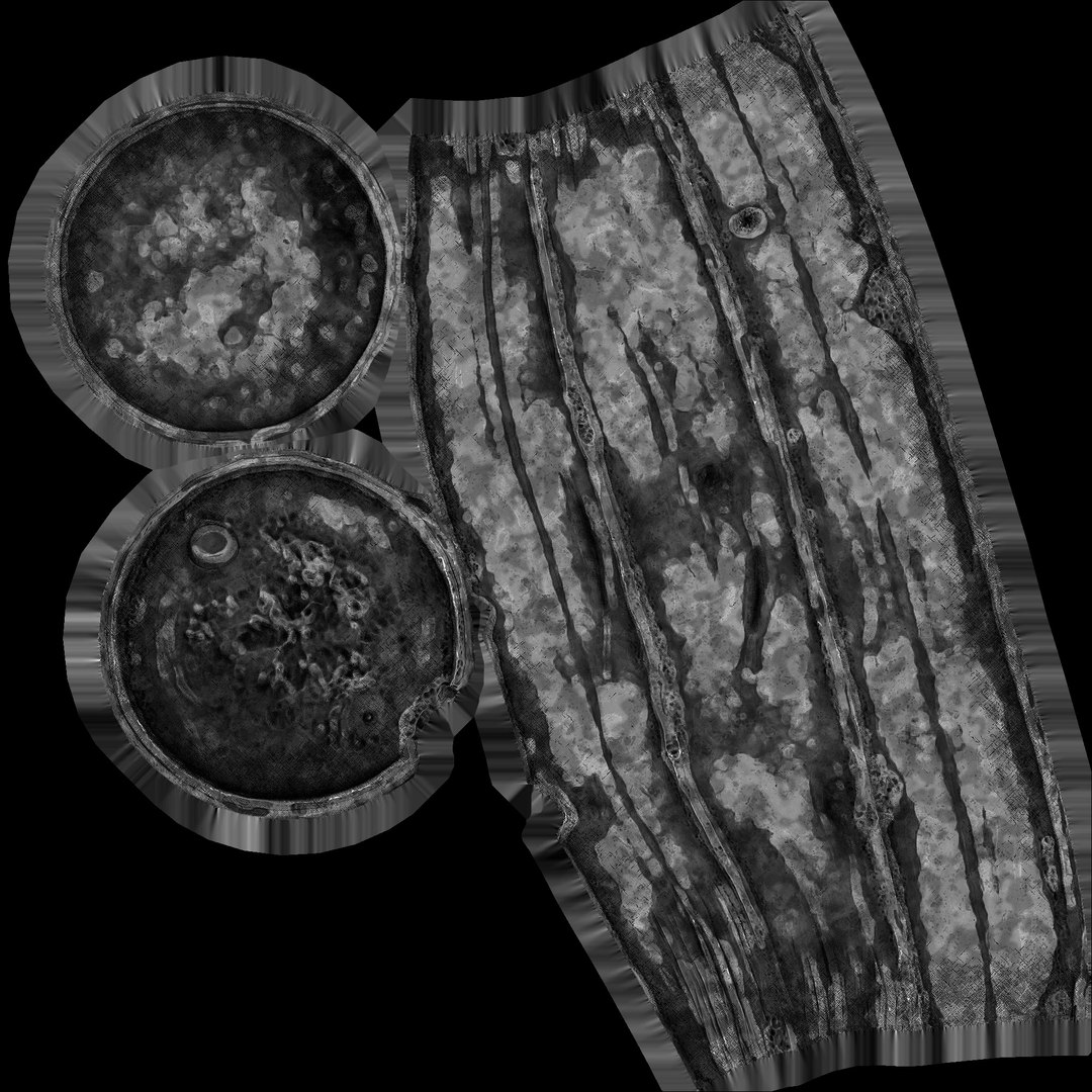 Damaged Barrel 3d Ma