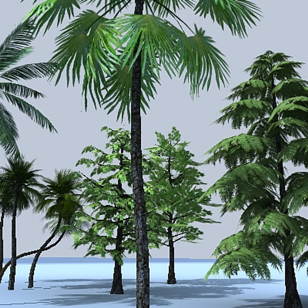 trees 3d model