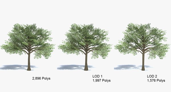 3ds max tree set polys