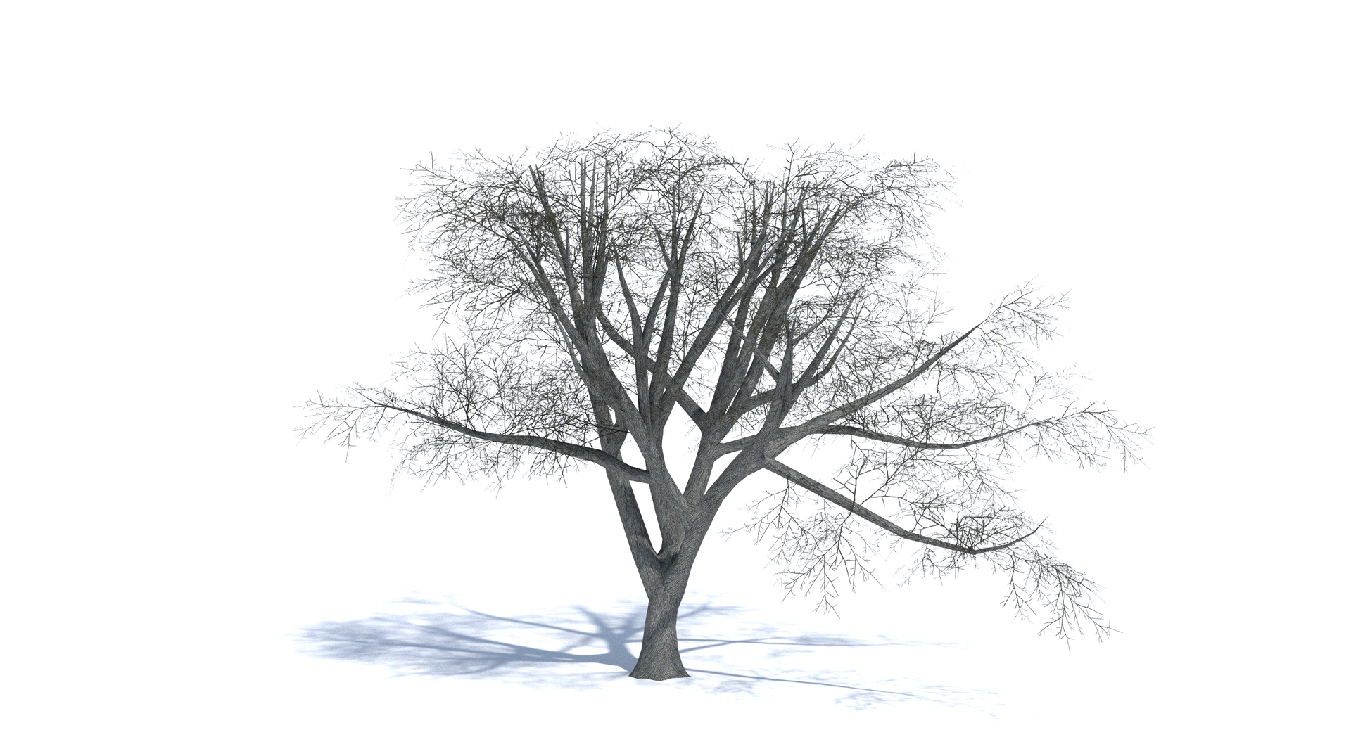 3ds max tree set polys