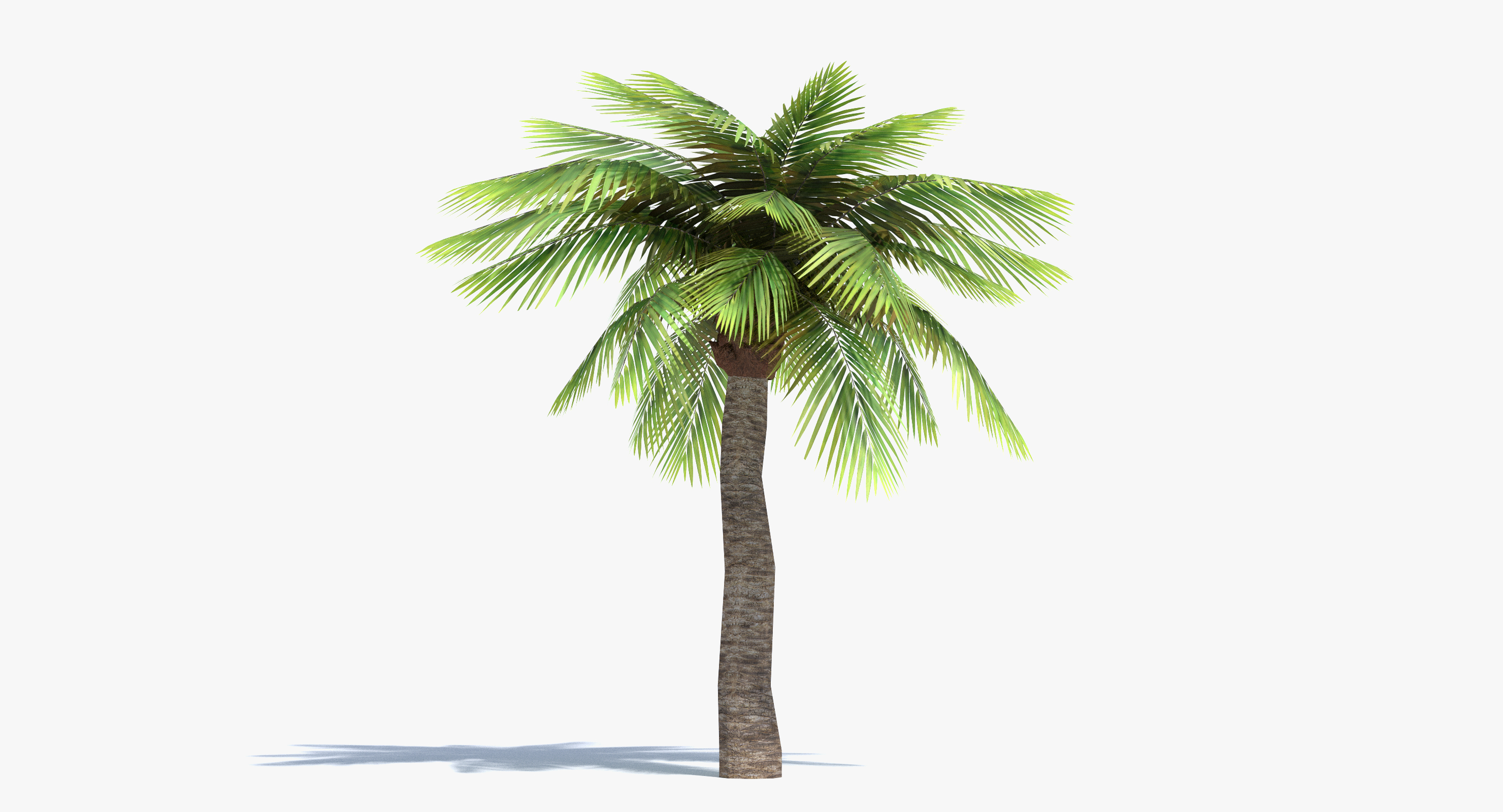 3ds max tree set polys