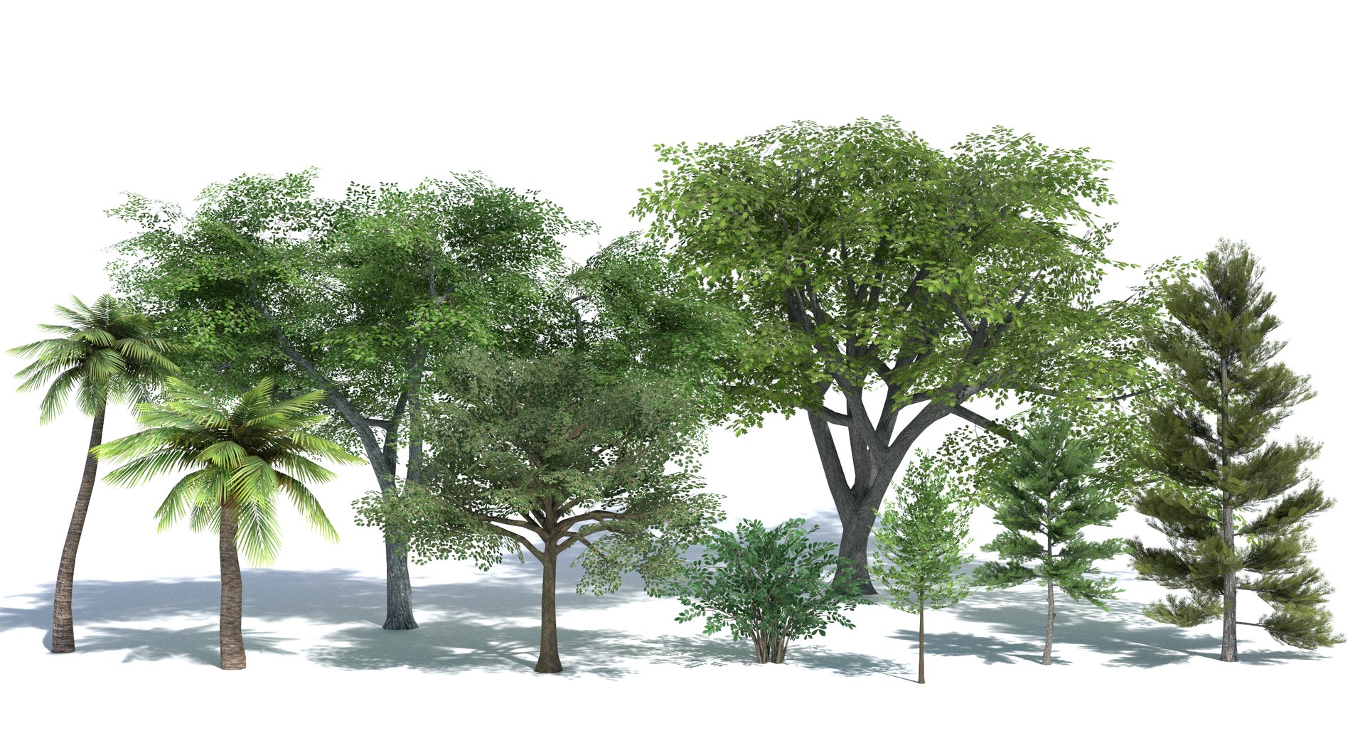 3ds max tree set polys