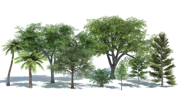 3ds max tree set polys