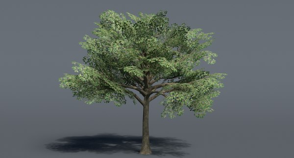 3ds max tree set polys