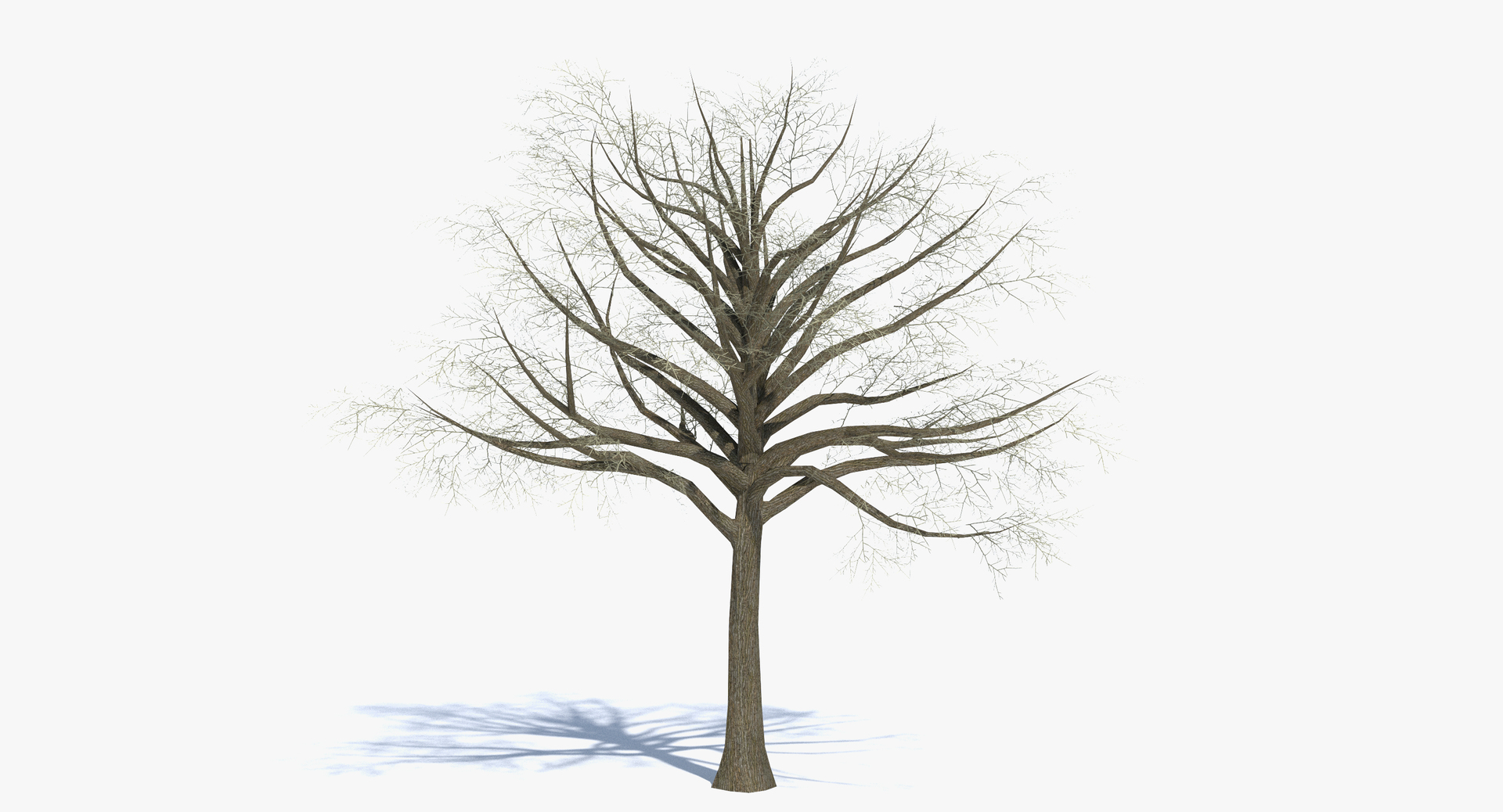 3ds max tree set polys