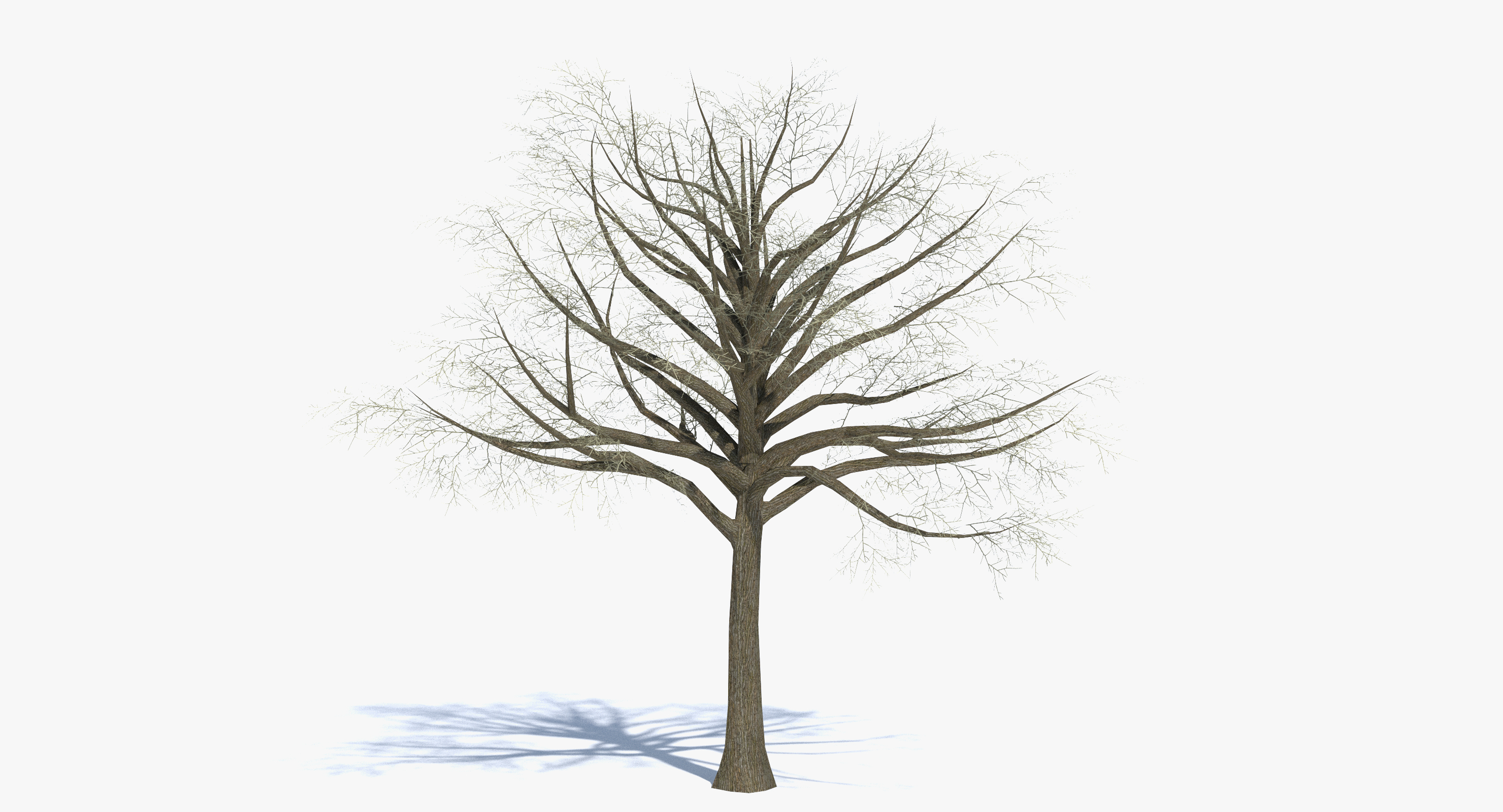 3ds max tree set polys
