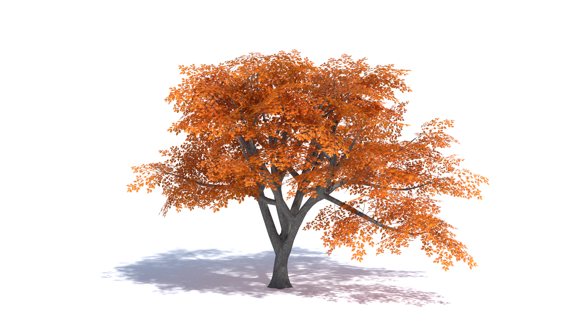 3ds max tree set polys