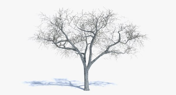 3ds max tree set polys