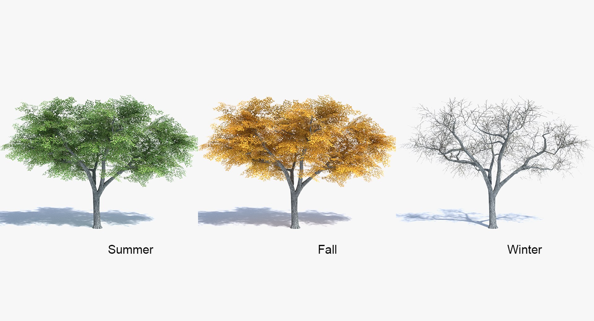 3ds max tree set polys