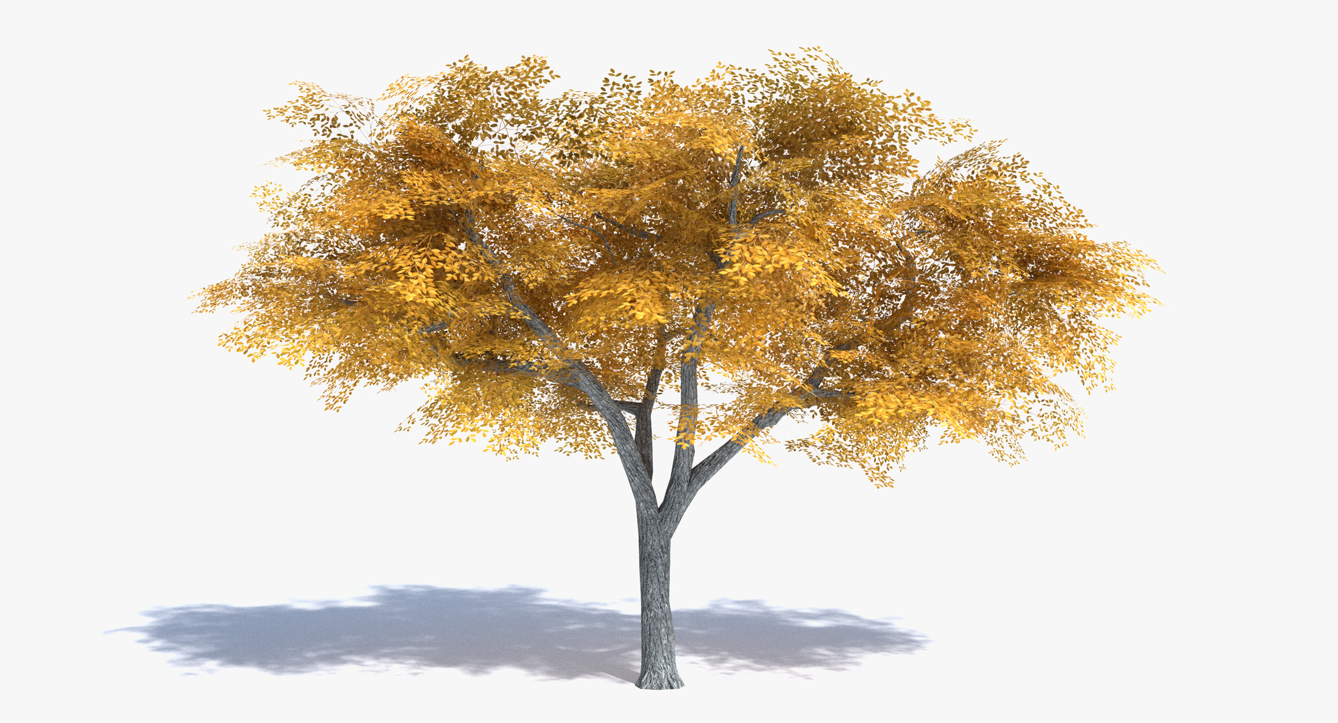 3ds max tree set polys