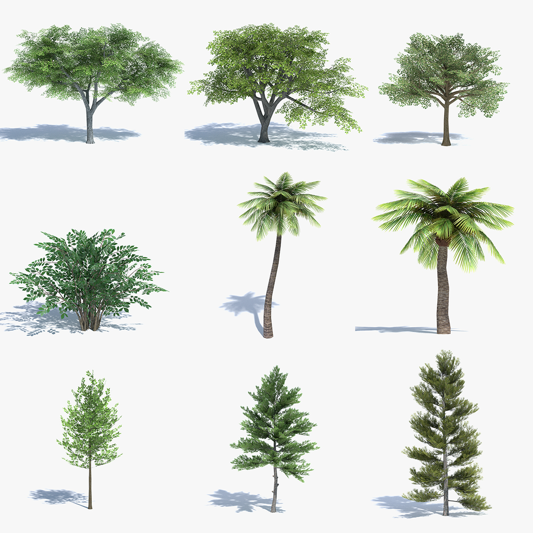 3ds max tree set polys