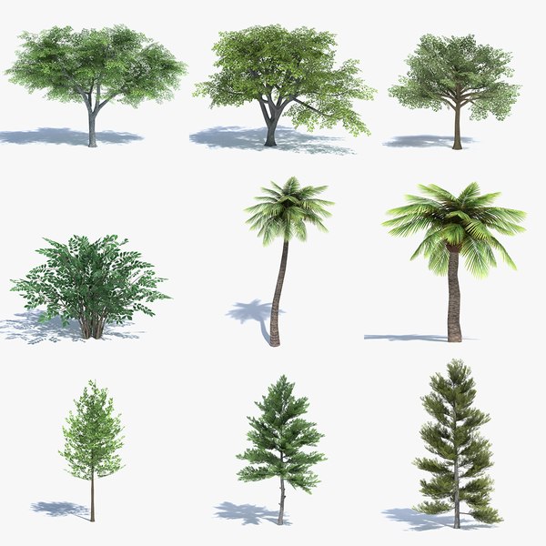 cartoon pine tree obj
