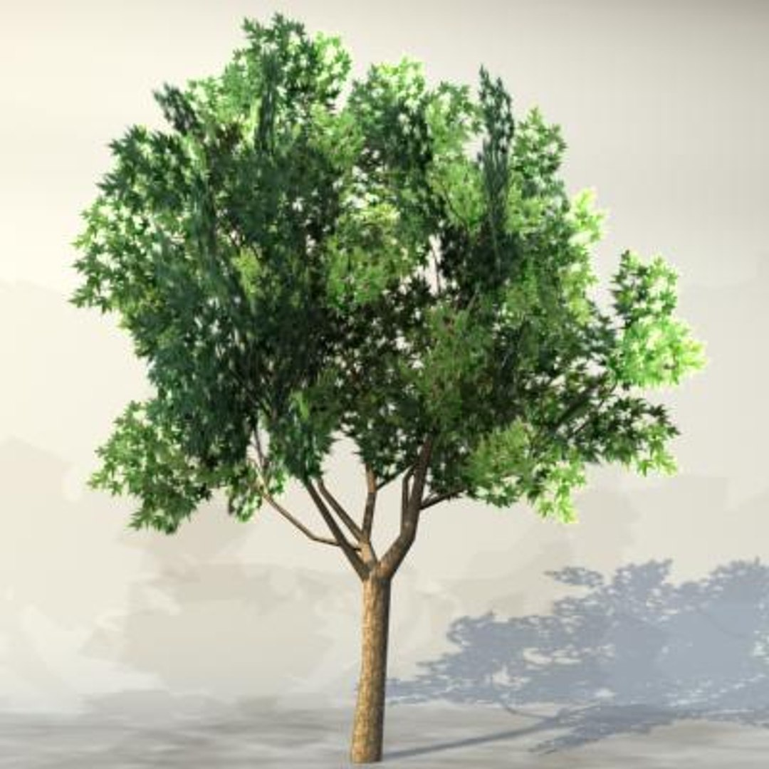 3d pc tree model