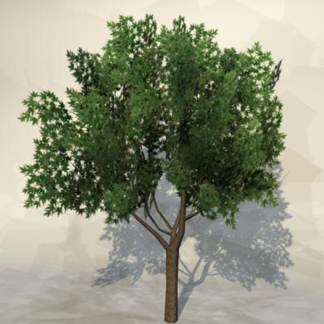 3d pc tree model