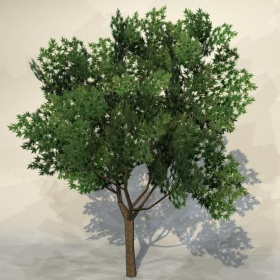 3d pc tree model