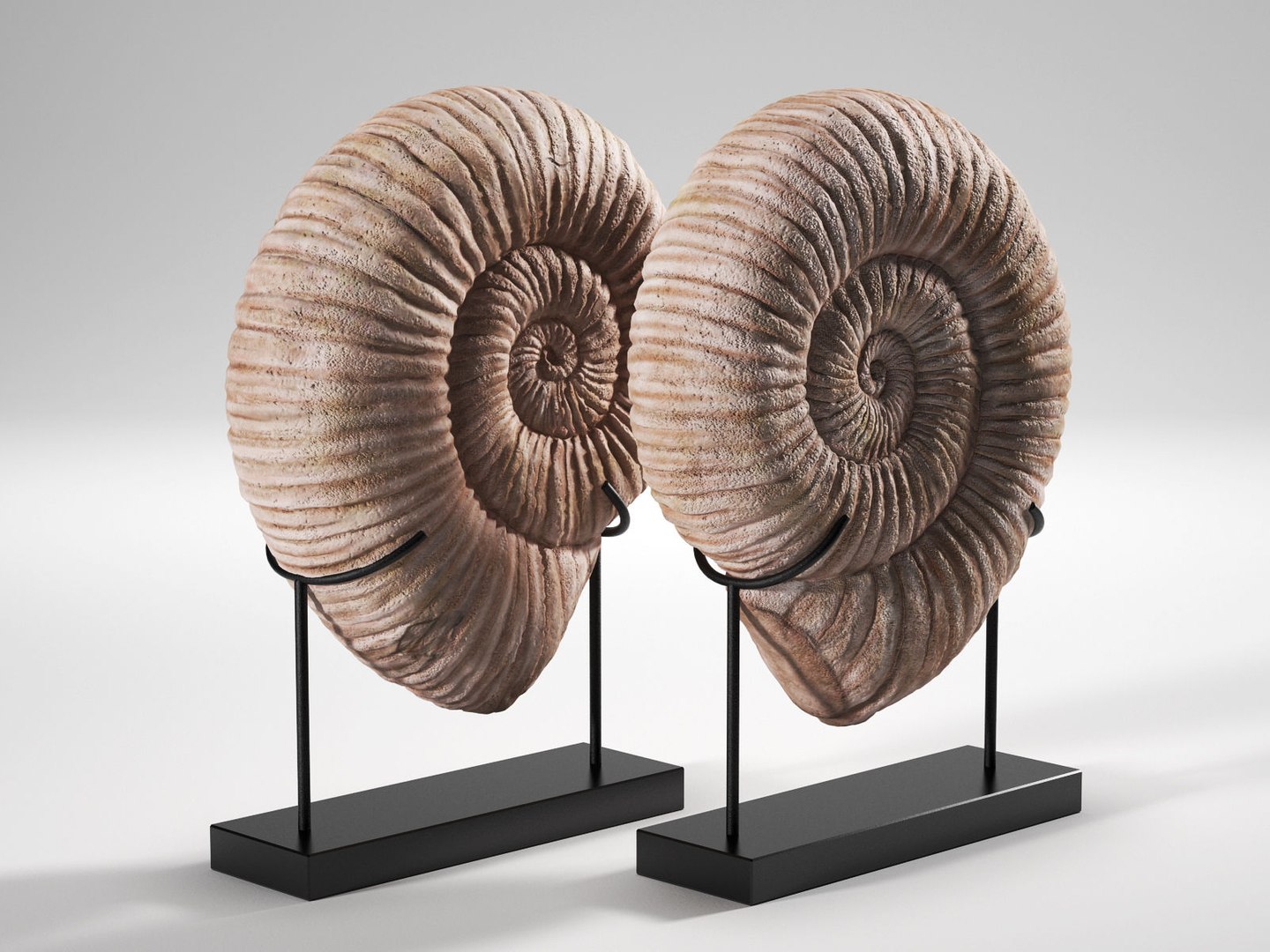 3D Fossil Iron-marble Shell Sculpture - TurboSquid 1226068